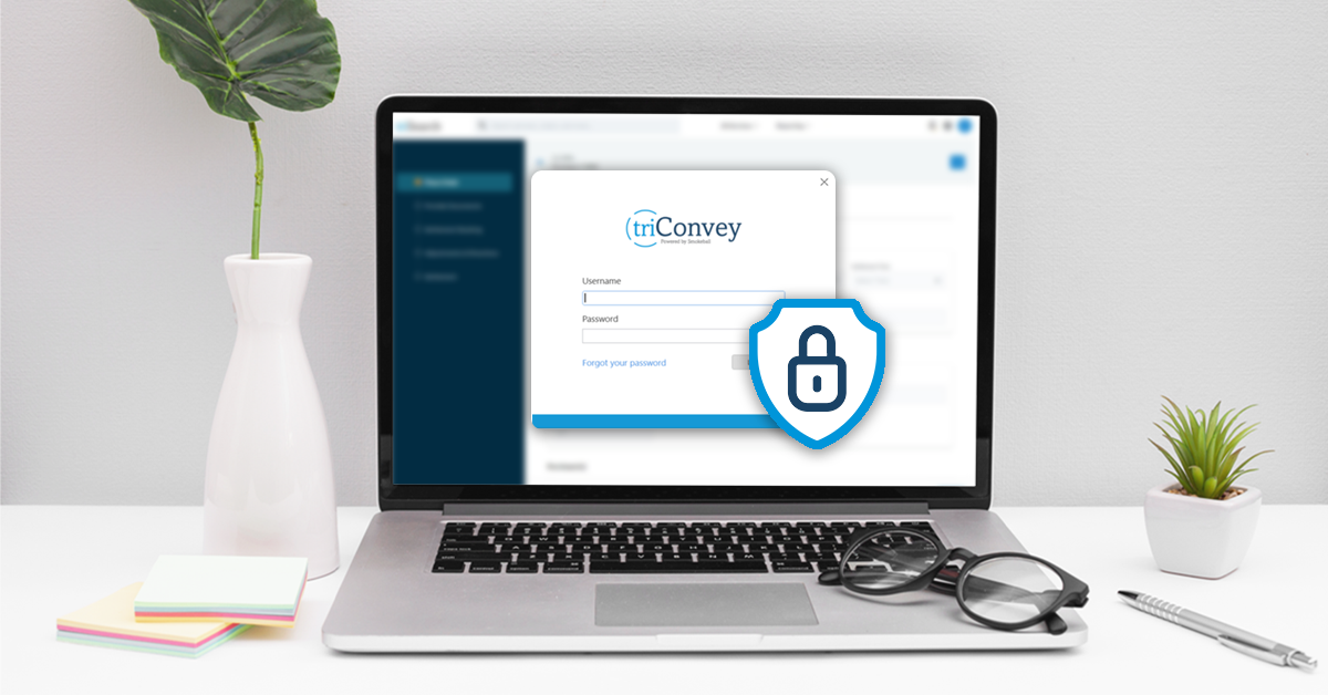 triConvey security - triSearch